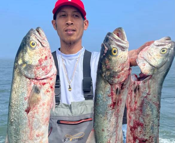 One Stop Bait & Tackle | Atlantic City NJ Bait Shop